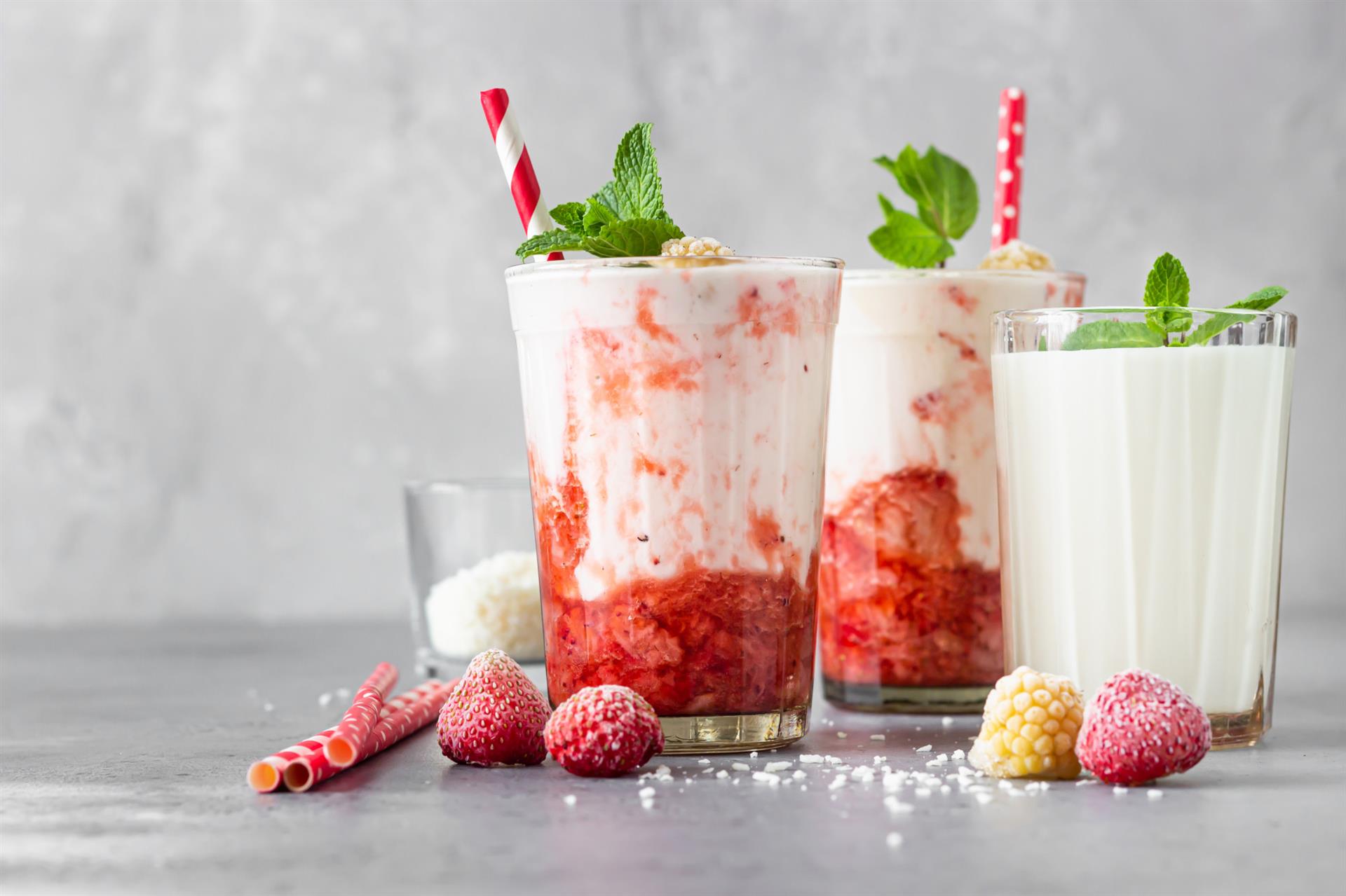 Probiotic Instant Yogurt Shake - Jebsen & Jessen Ingredients